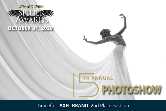 Black & White Spider Awards™| Photoshow